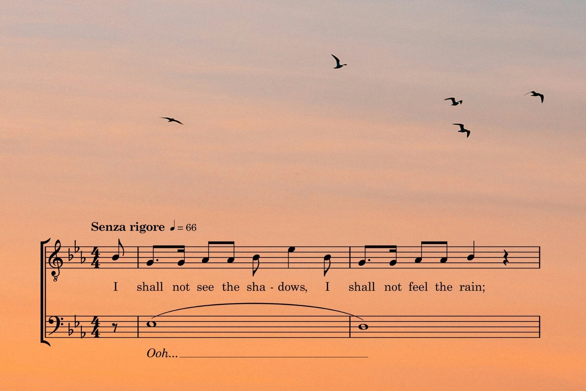 I Shall Not See the Shadows – Christopher Tin