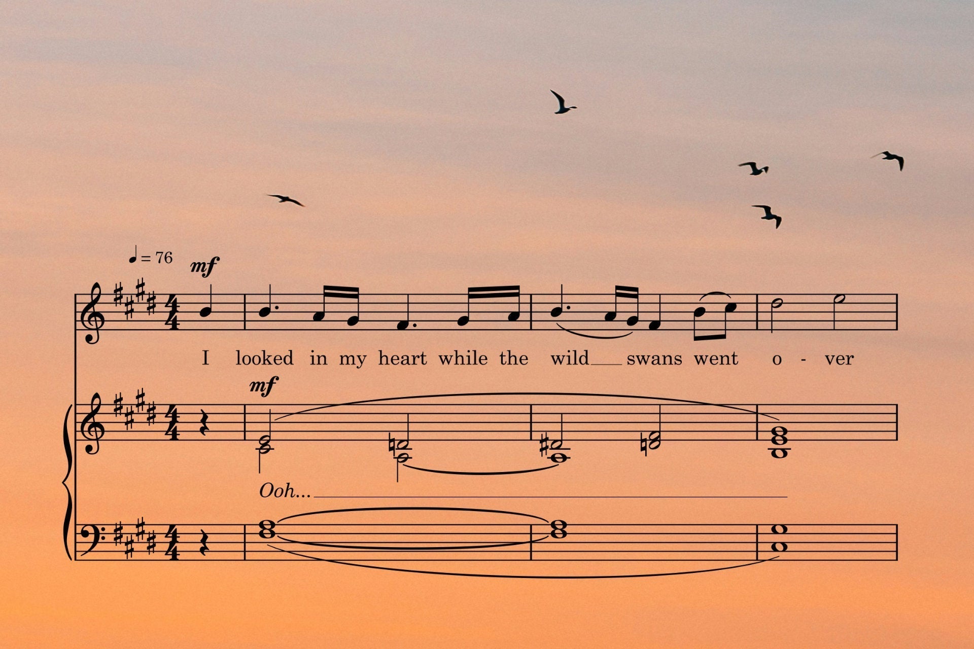 Wild Swans – Christopher Tin